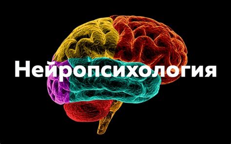 Подборка топ-книг по нейропсихологии... | Кабинет для психолога | ВКонтакте