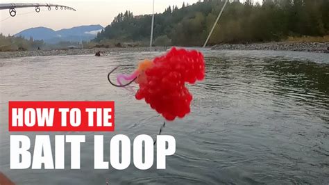 Hook Egg Loop At David Masterson Blog