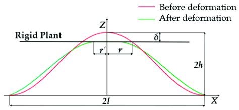 Two Dimensional Schematic Of The Contact Deformation Between A Single
