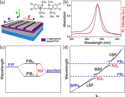 Figure 2 From Couple Molecular Excitons To Surface Plasmon Polaritons