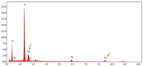 Sem Eds Spectrum Of Heavy Fraction With Presumptive Gold Sulphide Download Scientific Diagram