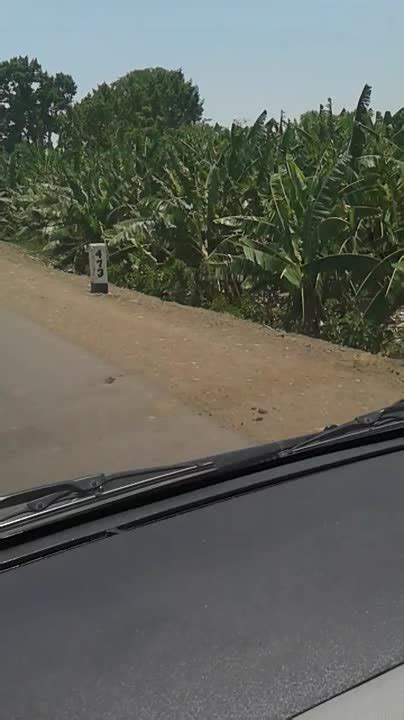 Video Dawit Manaye Posted On Linkedin