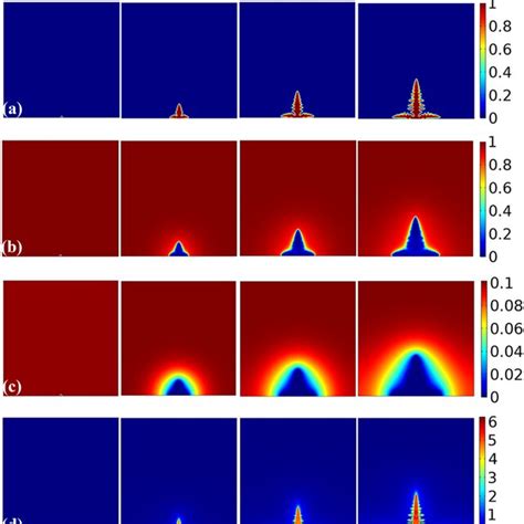 A Schematic Representation Of A Lithium Metal Battery Experiencing Download Scientific