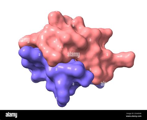 Quaternary Protein Structure