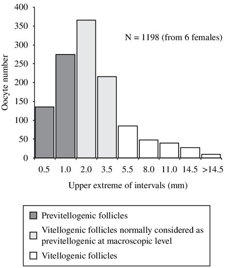 Frequency Histogram Of The Oocyte Countdown Download Scientific Diagram