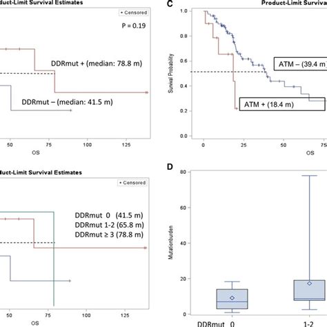 Association Of Clinical Outcome With Ddr Among Patients Who Received