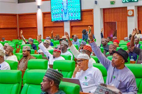 Budget 2025 Reps Okay N1 132tr For Customs The Nation Newspaper