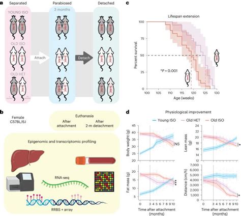 Alexander Tyshkovskiy On Linkedin Multi Omic Rejuvenation And Lifespan