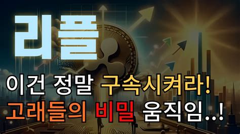 리플 코인 이건 정말 구속시켜라 고래들의 비밀 움직임 Youtube