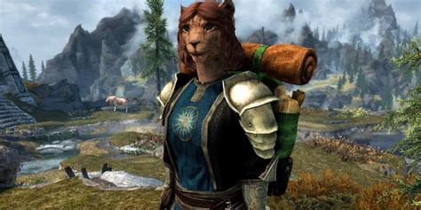 New Skyrim Mod Adds Feature Found In Many Modern Games