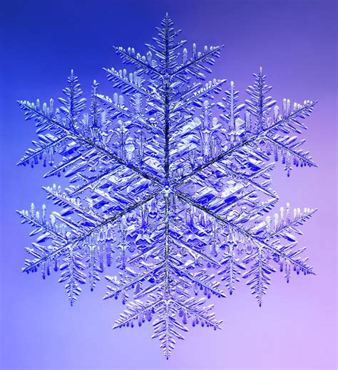 Monster Snowflake SnowCrystals