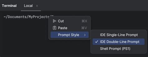 terminal webstorm documentation