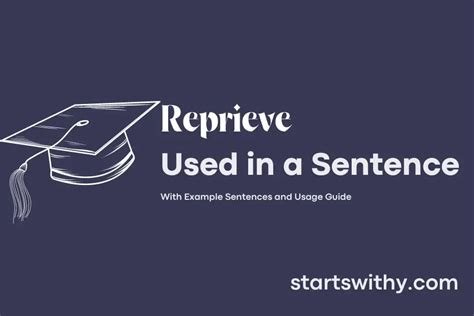 Reprieve In A Sentence Examples 21 Ways To Use Reprieve