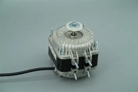 Electrical Motor Copper Wire Condenser Freeze Motor For Refrigerator Electrical Motor And