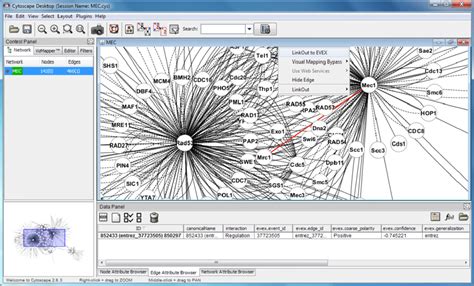 Evex User Interface For Browsing Large Scale Databases For Biomedical Download Scientific