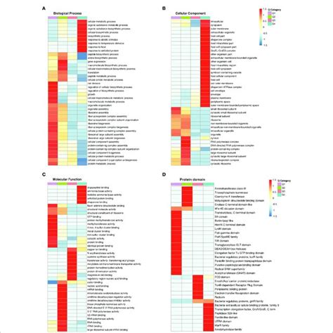 Functional Cluster Analysis Of Go And Protein Domain Of Deps A C