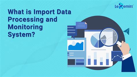 What Is The Import Data Processing And Monitoring System Leremitt