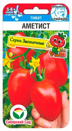 Томат Аметист