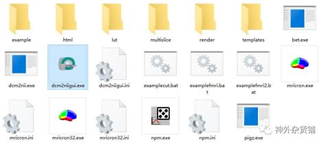 dicom影像资料 将dicom格式转换为nifti文件方法1 csdn博客