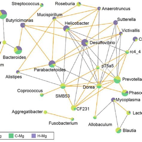 Network Analysis Of Intestinal Microbiota Using Sparcc Correlation