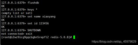 Redis之rdb文件操作dumprdb可以删除吗 Csdn博客 Redis之rdb文件操作dumprdb可以删除吗 Csdn博客