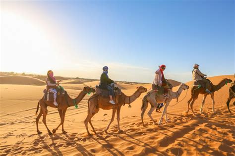 사하라 여행 15 사막 낙타투어 모로코 여행의 하이라이트 네이버 블로그