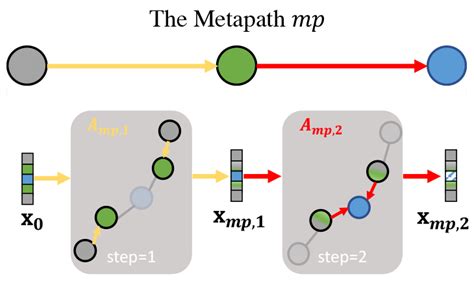 Information Propagation On A Metapath Aware Subgraph Download Scientific Diagram