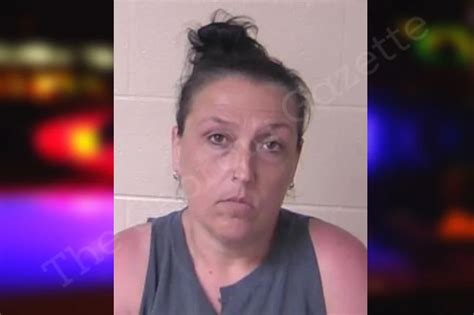 Sara Blevins — Walker County Jail Bookings