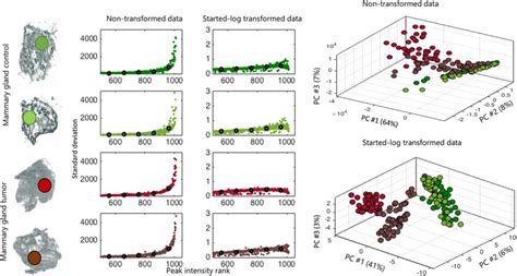 Impact Of Variance Stabilizing Transformation On Information Recovery