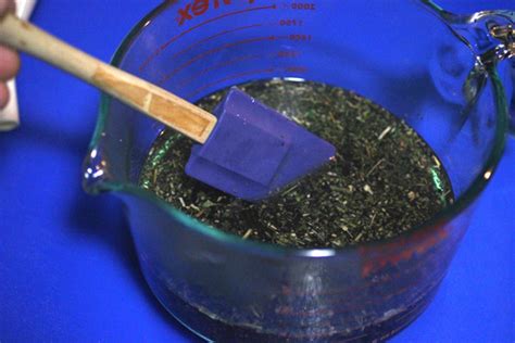 Cats Fancy Diy Catnip Spray Your Old Pal Mick