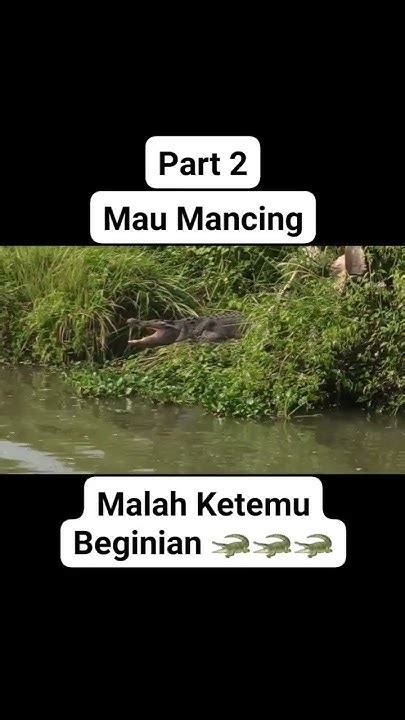 Detik-detik Penampakan Penunggu Muara‼️ Part 2 #mancing #fishing #kakap ...