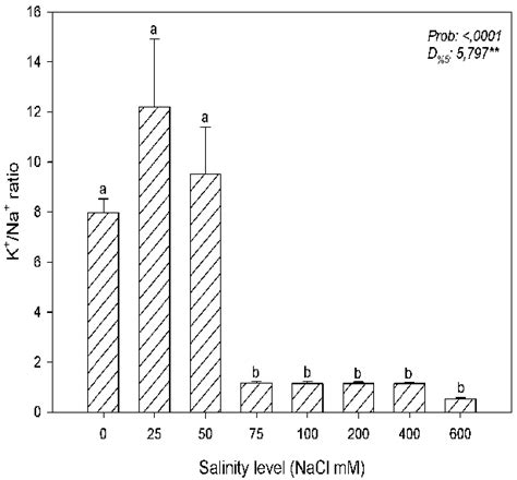 K Na Ratios Of Leaves Of Hyacinth Plants Under Salinity Stress