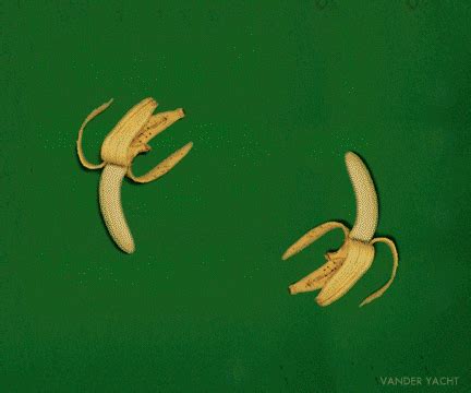 Banana Peel  On Er By Anaramath