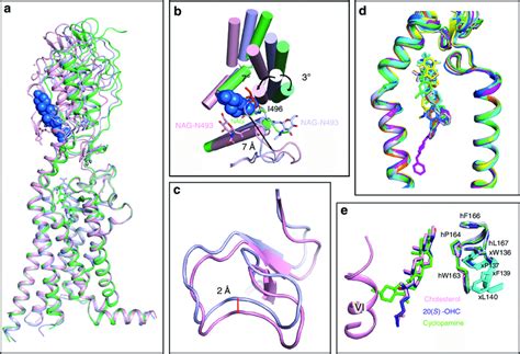 Unique Multi Domain Interaction And Modularity In The Human Smo A Download Scientific