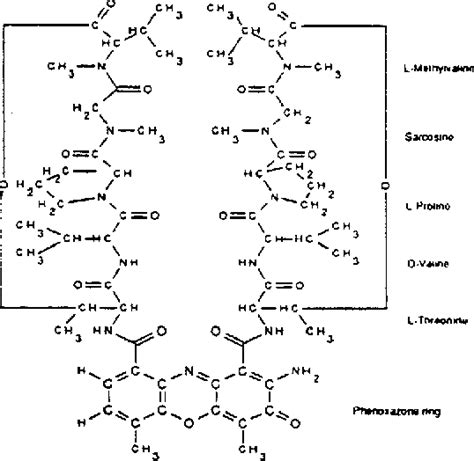 Figure 1 From Molecular Docking Using Genetic Algorithms Semantic Scholar