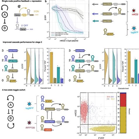 Persist Endornase Platform Is Modular All 16 Two Input Boolean Logic