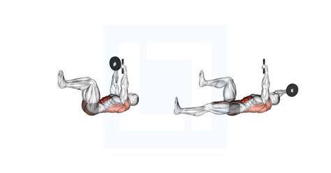 Weighted Dead Bug Guide Benefits And Form Weighted Dead Bug Guide Benefits And Form