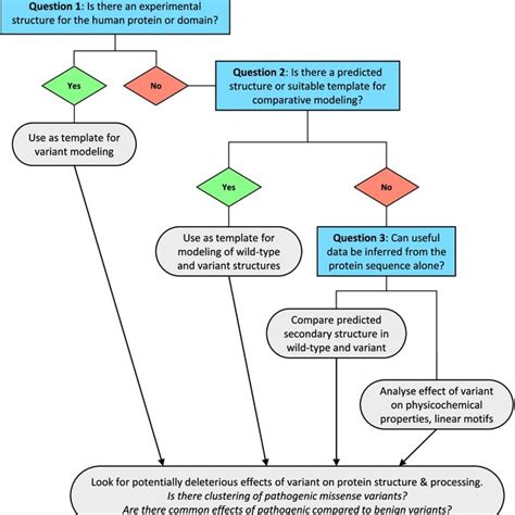 Evidence Based Workflow For Structural And Sequence Analysis Of