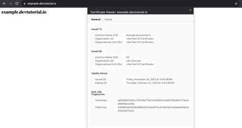 How To Install Lets Encrypt Ssl In Nginx On Ubuntu 2310 Devtutorial