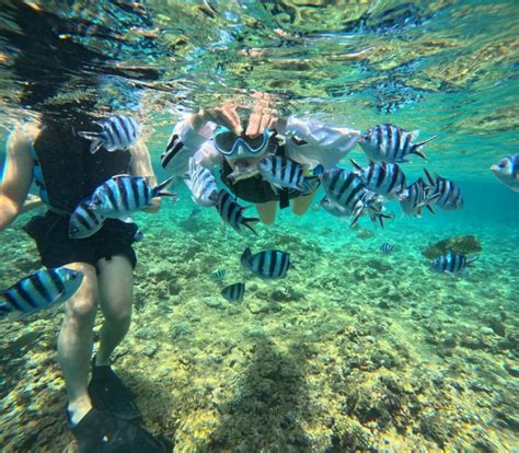 🇯🇵 한 여름의 오키나와 Day 3 4 [푸른동굴 스노쿨링 루리오키나와 족발소바 서던비치리조트 수영 이토만비치] 네이버 블로그