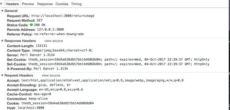 Angularjs Perl Correct `content Type` Formatting For Returning