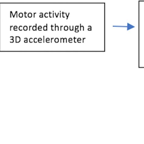 Flowchart Of The Automated Detection And Classification System Used In