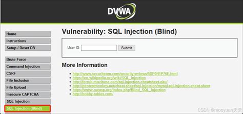 Dvwa靶场通关笔记 Sql盲注sql Injection Blind Low级别dvwa Low Sqlmap 盲注 Csdn博客