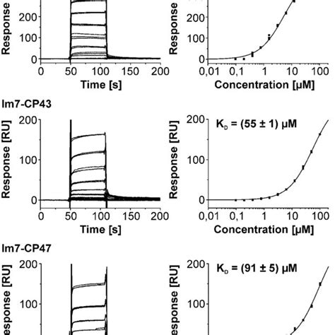 Triplicate Binding Responses Left And Fits Of Steady State Responses