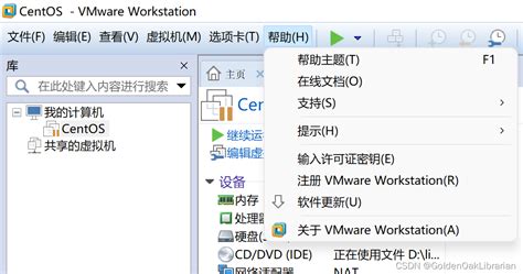 实现virtualbox、vmware和windows之间的复制黏贴操作wmware如何同步粘贴板 Csdn博客