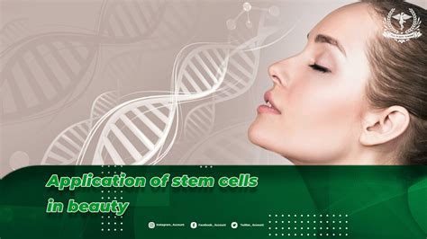 Learn About Stem Cells