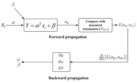 Graphical Representation Of The Forward And Backward Propagation In The Download Scientific