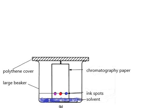 Igcse Chemistry Paper Chromatography Teaching Resources