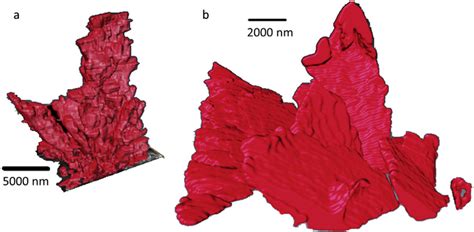 Unsuccessful Results Of Fib Sem Tomography Images After Segmentation