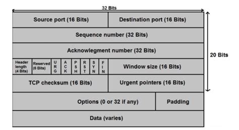 [network] Tcp And Udp